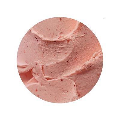 STRAWBERRY SORBET BRAVO GELATO 5LT | Reliable Food Distributors